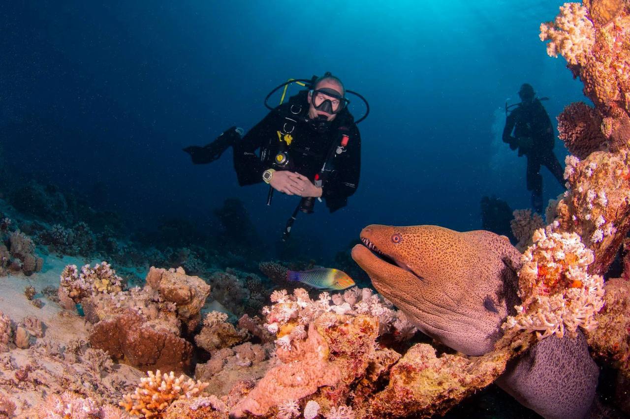 2 Days Diving for Certified Divers - Sharm Top Tours